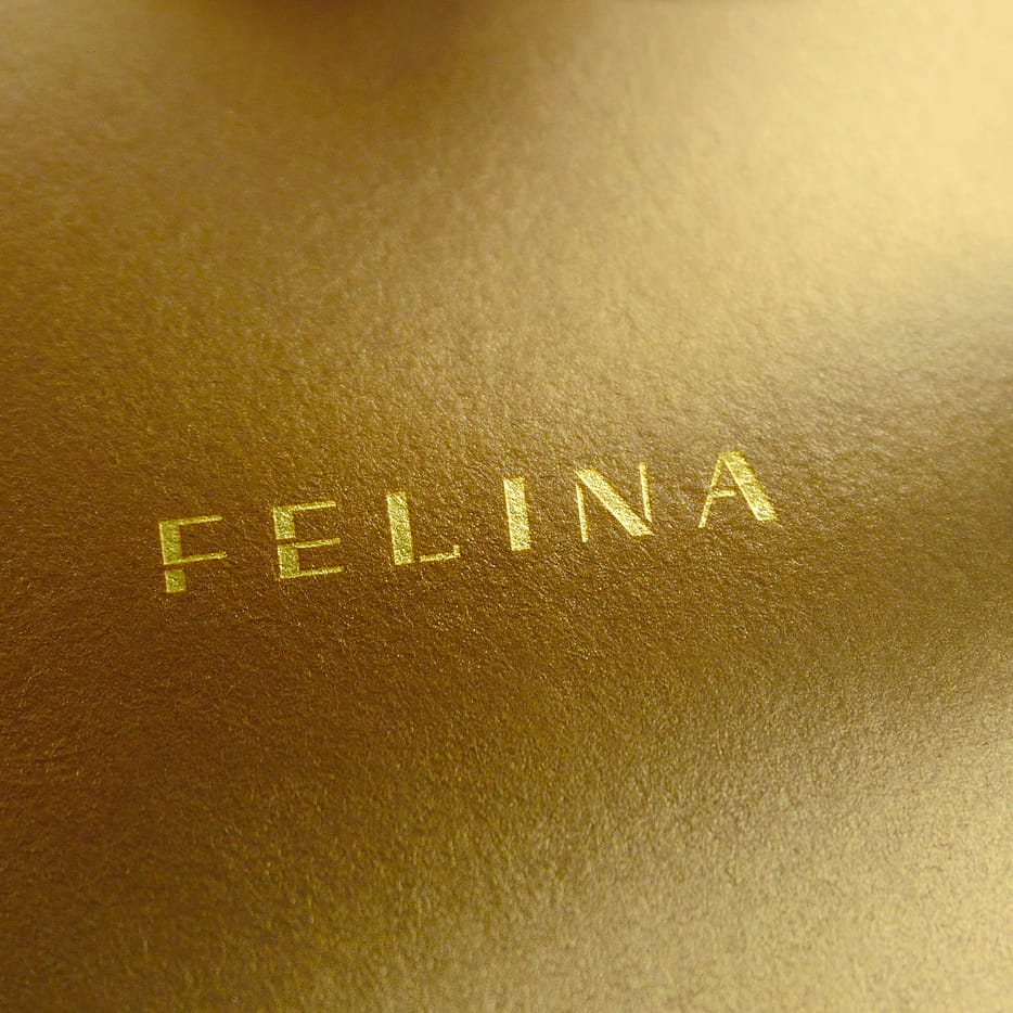 jasho—mx / graphic designer